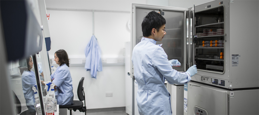 Research projects and proposal | Clinical Sciences